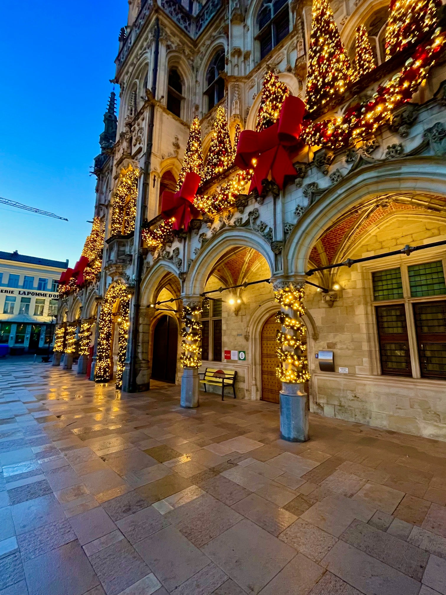 The Standard Bow Collection – The Big Bow Company